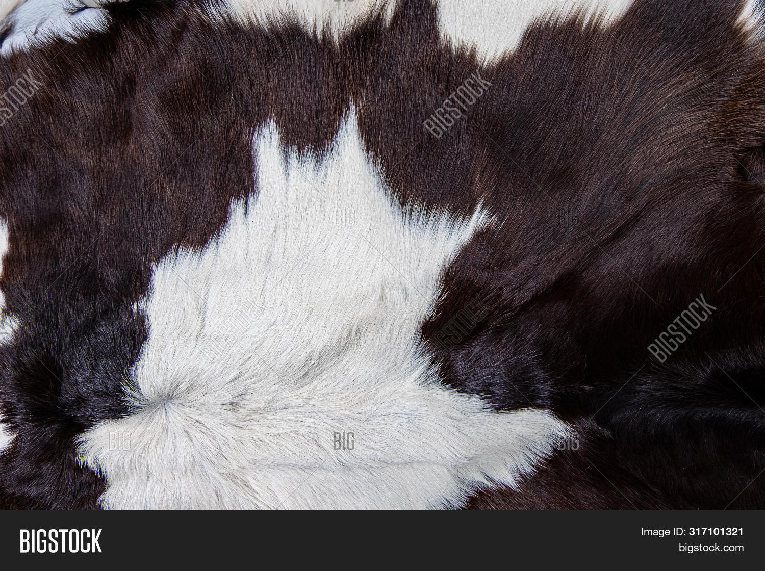 Texture Brown Cow Skin Image & Photo (Free Trial) | Bigstock