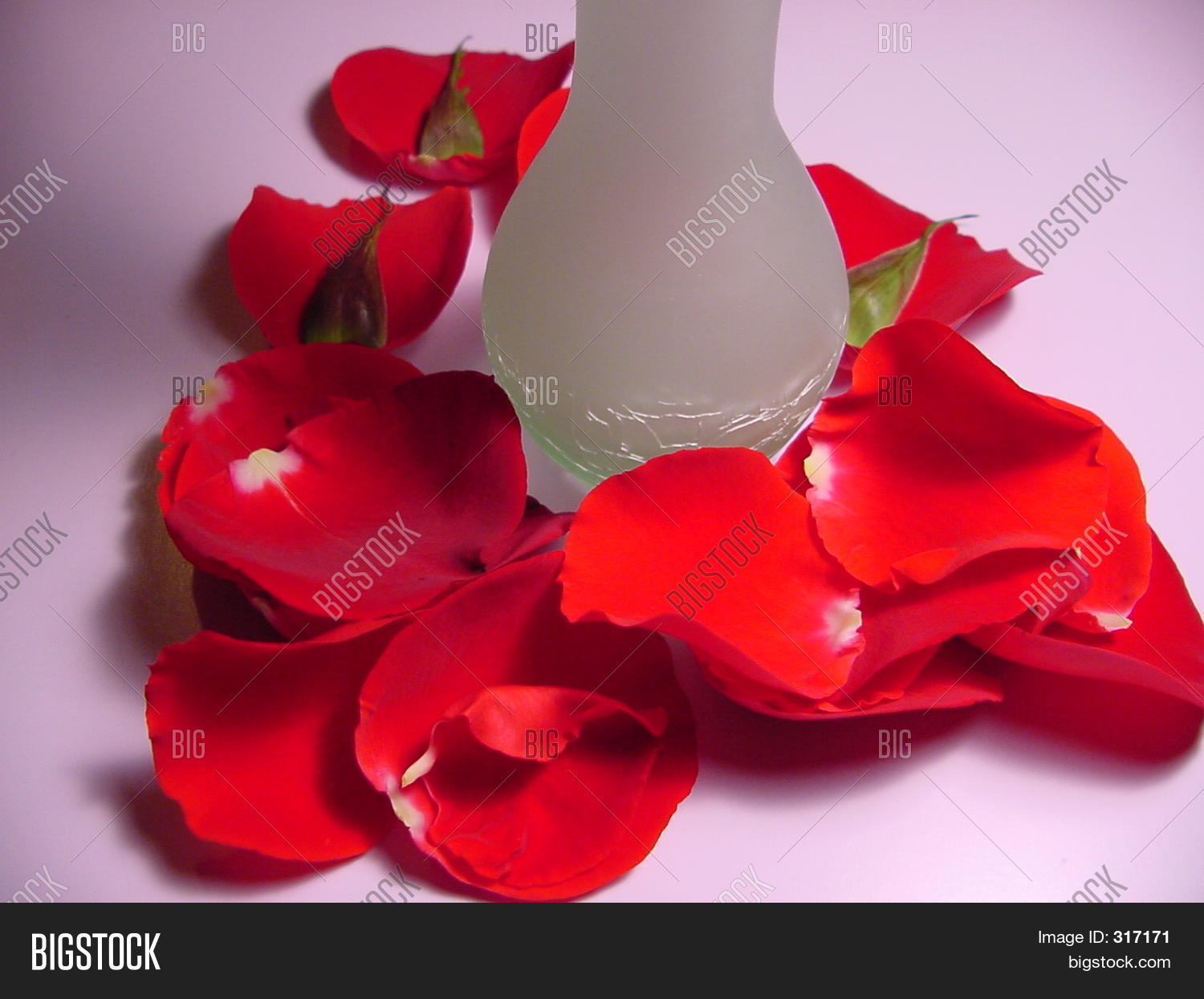 Rose Pedals Image & Photo (Free Trial) | Bigstock
