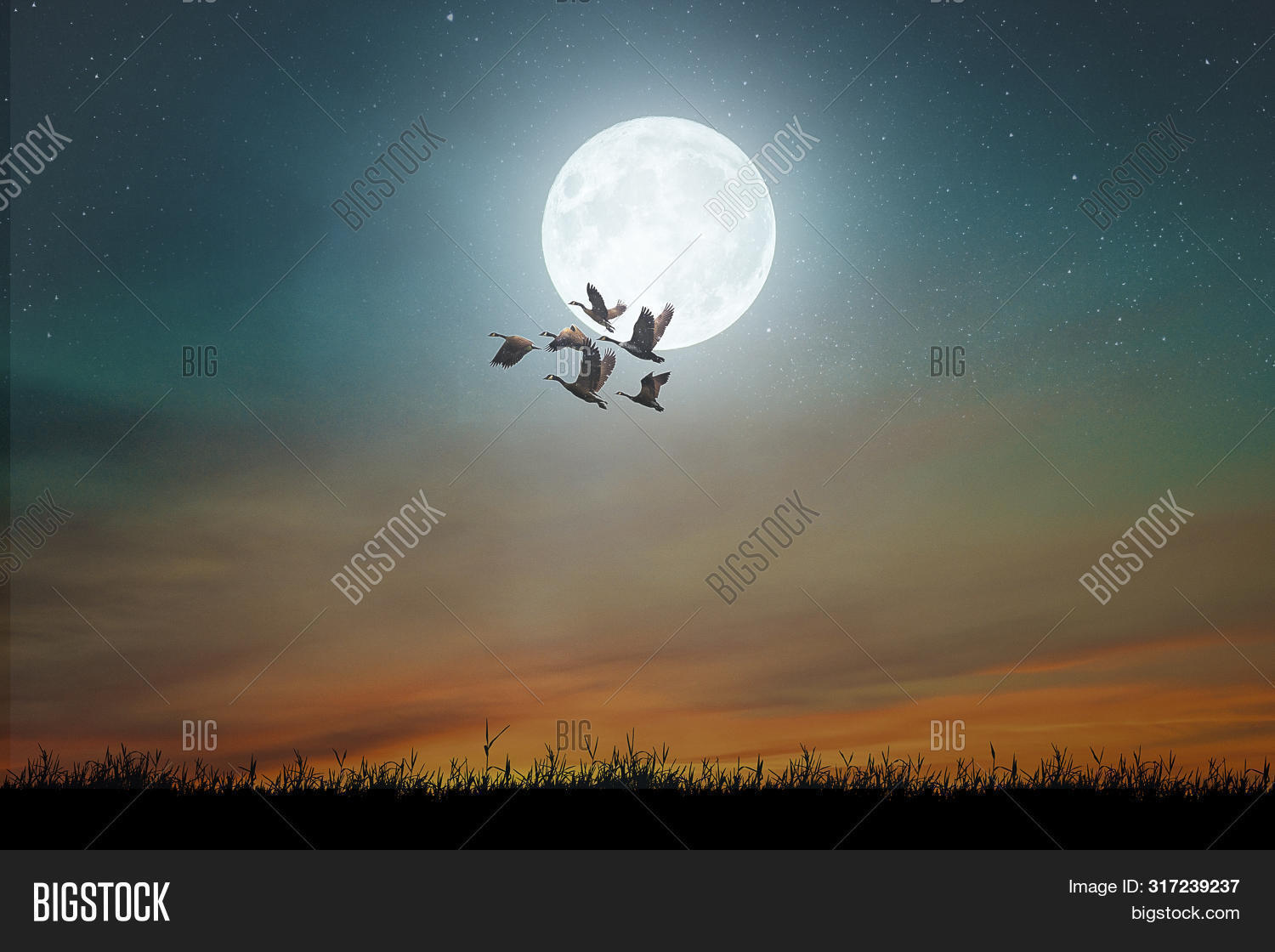 Night Moon Landscape Image & Photo (Free Trial) | Bigstock