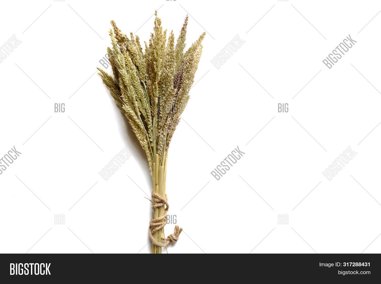 Agricultural, Image & Photo (Free Trial) | Bigstock