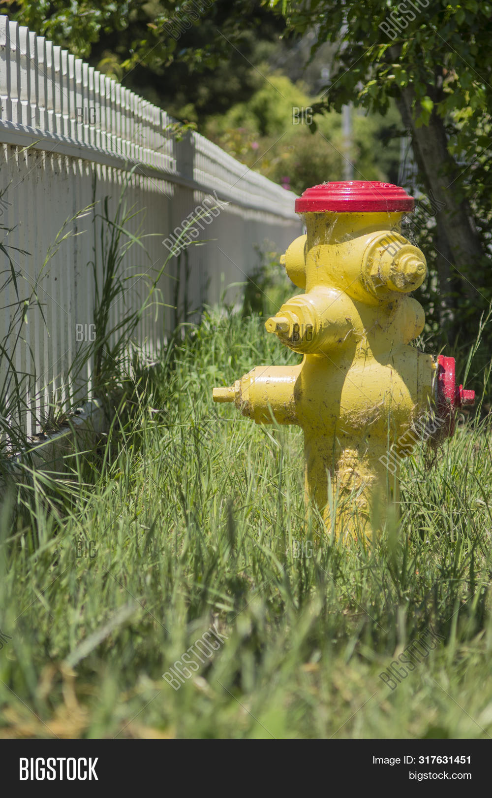 Yellow Fire Hydrant Image & Photo (Free Trial) | Bigstock