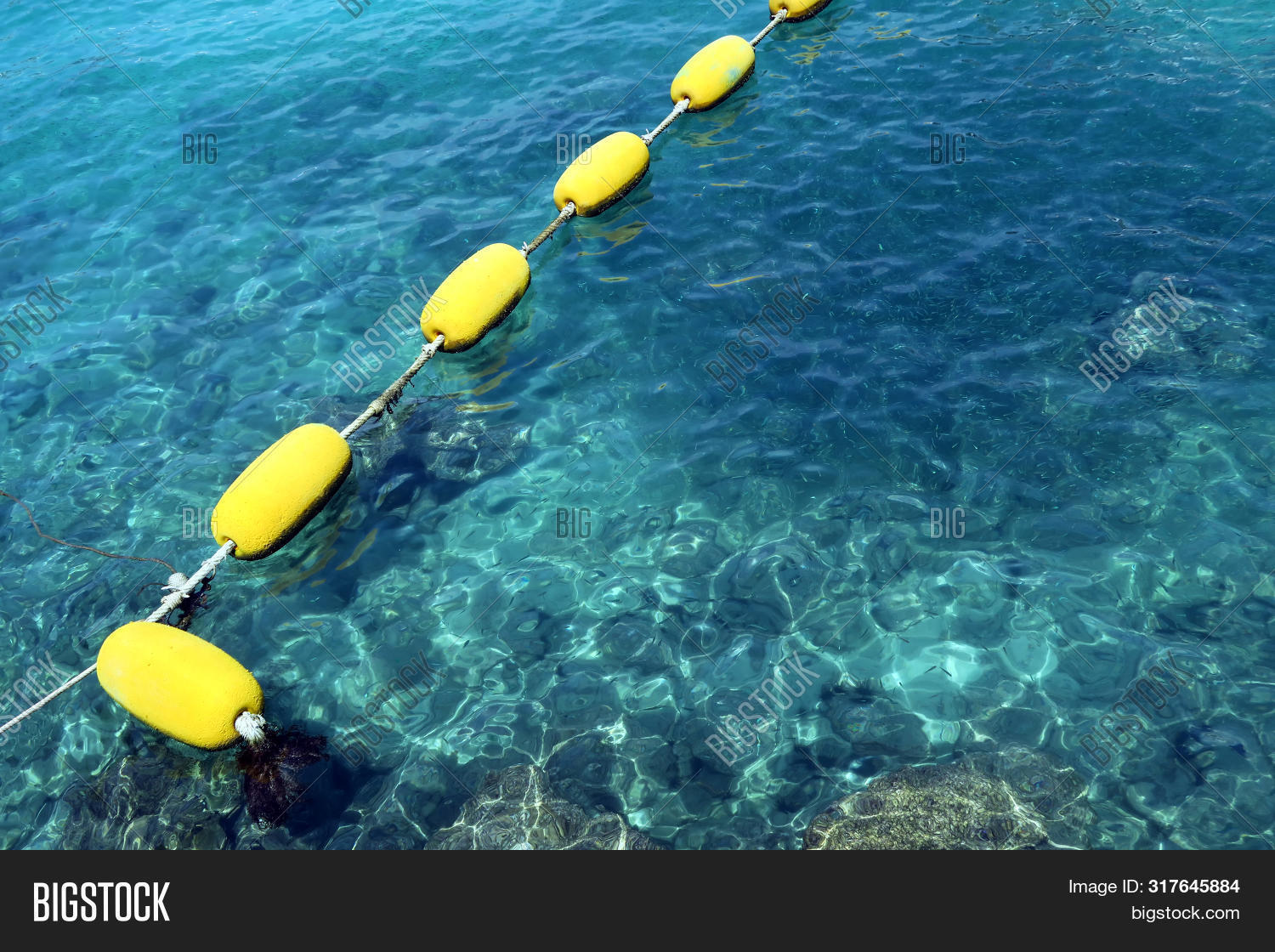 Yellow Buoy Floating Image & Photo (Free Trial) | Bigstock
