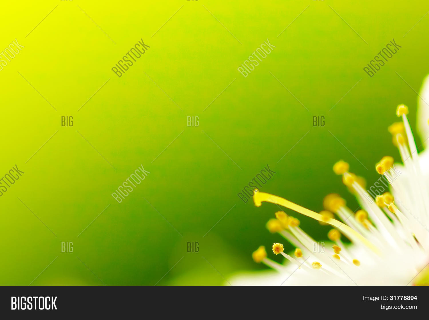 Abstract Spring Backgrounds