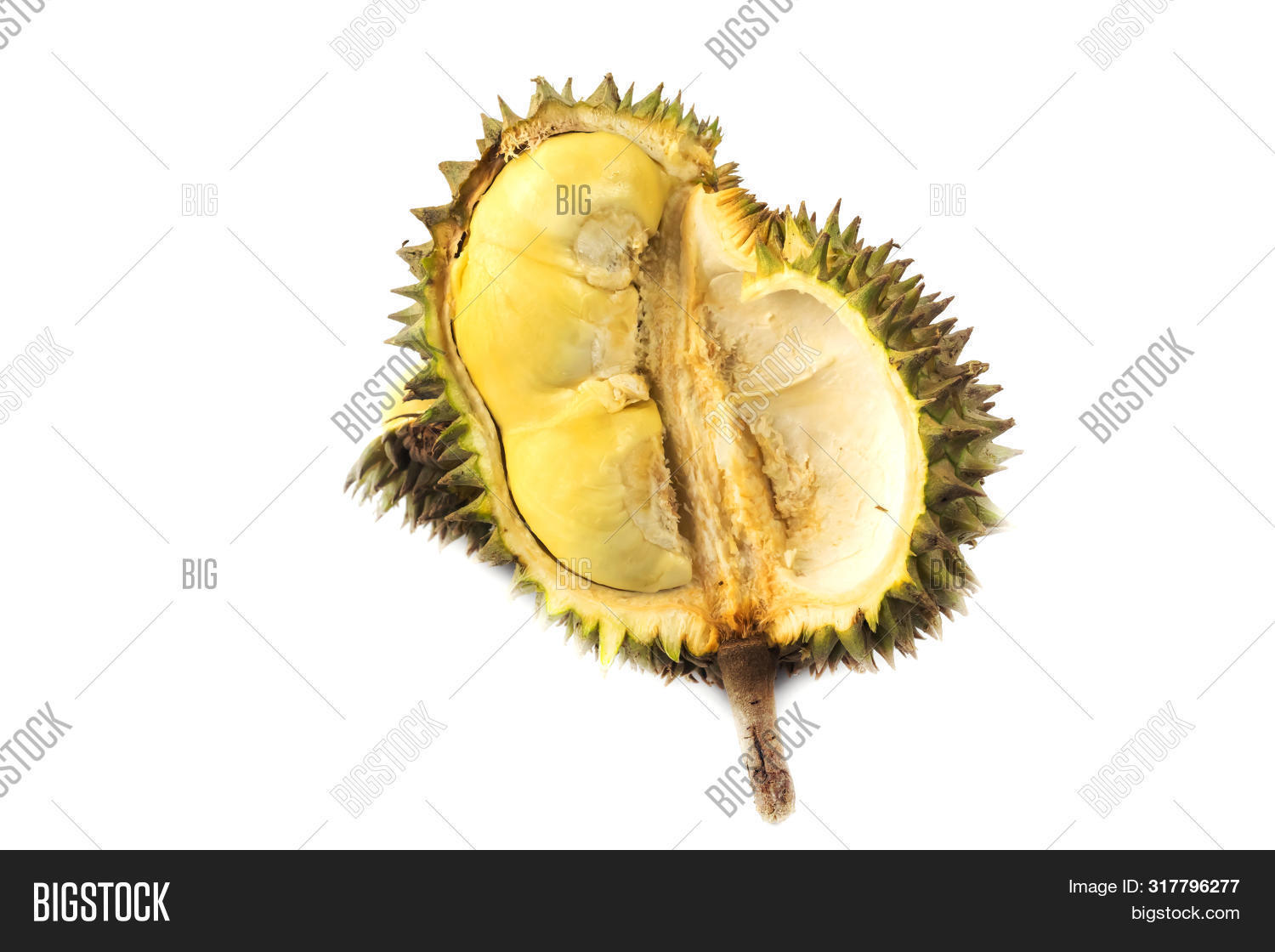 Durian Fruit Famous Image & Photo (Free Trial) | Bigstock