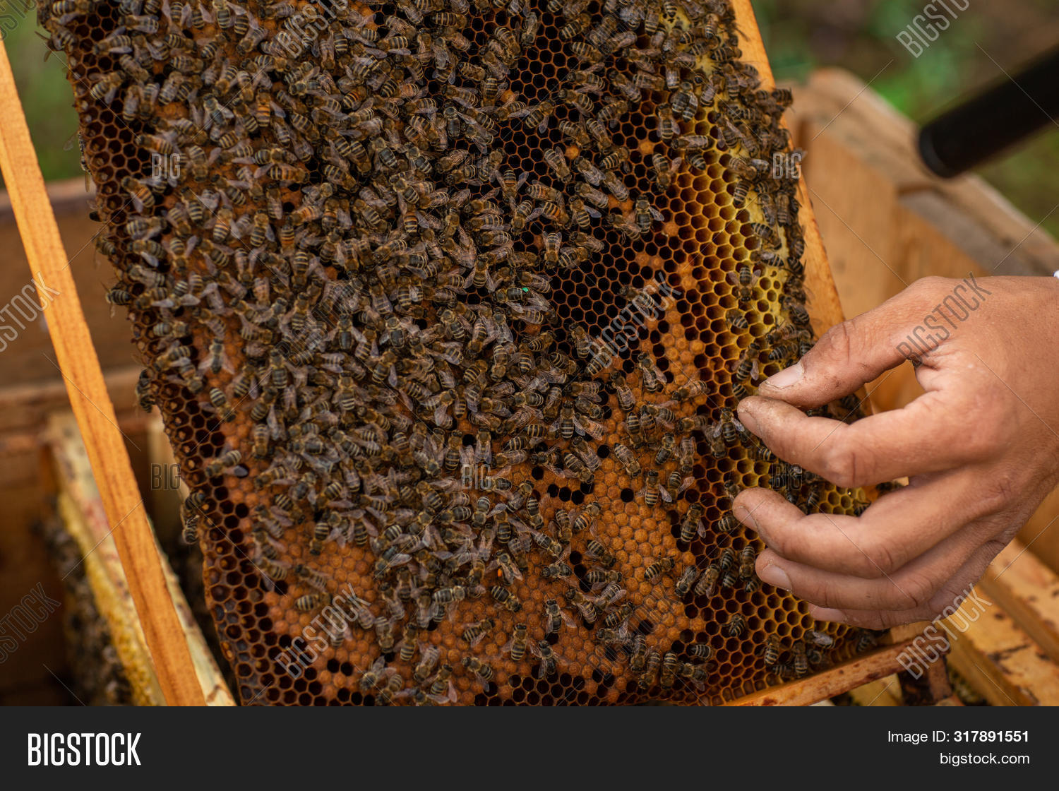 Closeup Hands Image & Photo (Free Trial) | Bigstock