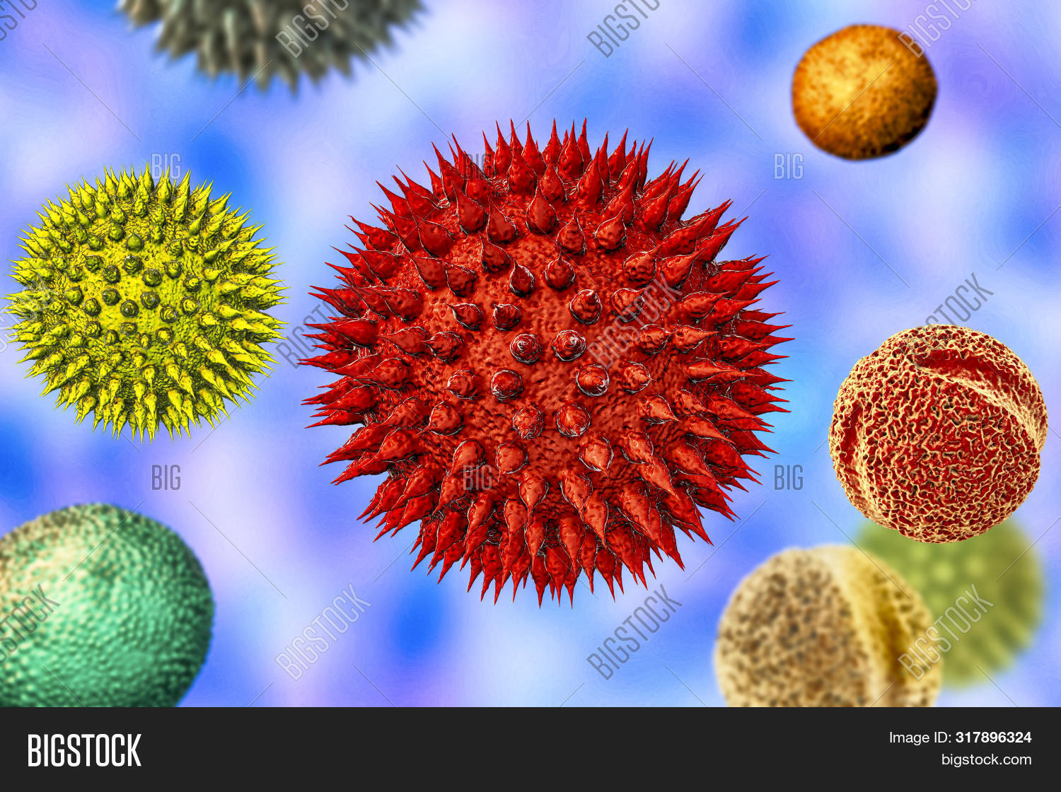 Pollen Grains Image & Photo (Free Trial) | Bigstock