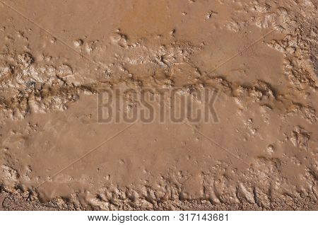 Close- View Liquid Mud Image & Photo (Free Trial) | Bigstock
