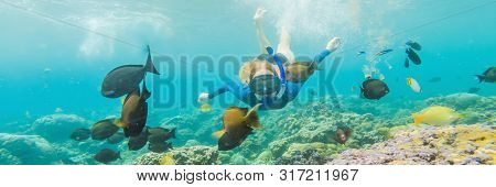 Woman Diving Into Water Images, Illustrations & Vectors (Free) - Bigstock