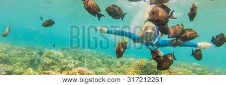 Woman Diving Into Water Images, Illustrations & Vectors (Free) - Bigstock