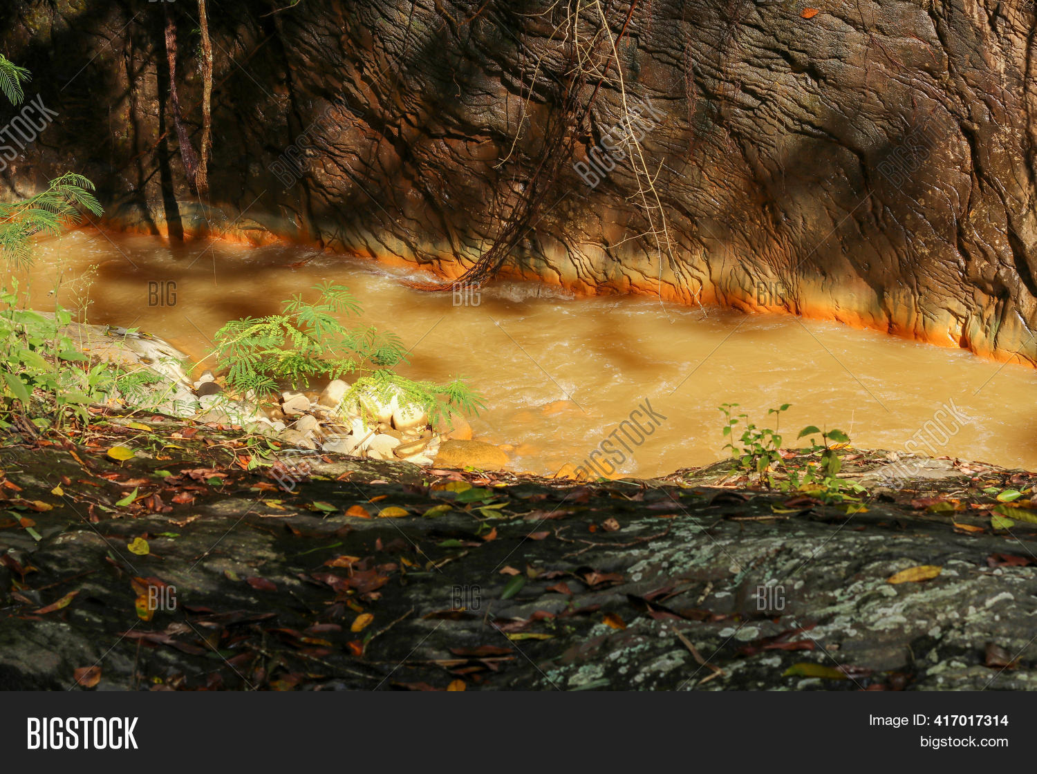 Beautiful Brown River Image & Photo (Free Trial) | Bigstock