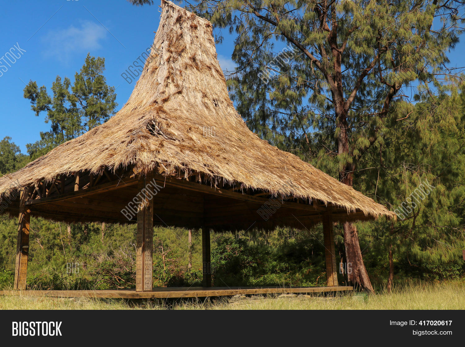 Shelter Reed Roof By Image & Photo (Free Trial) | Bigstock