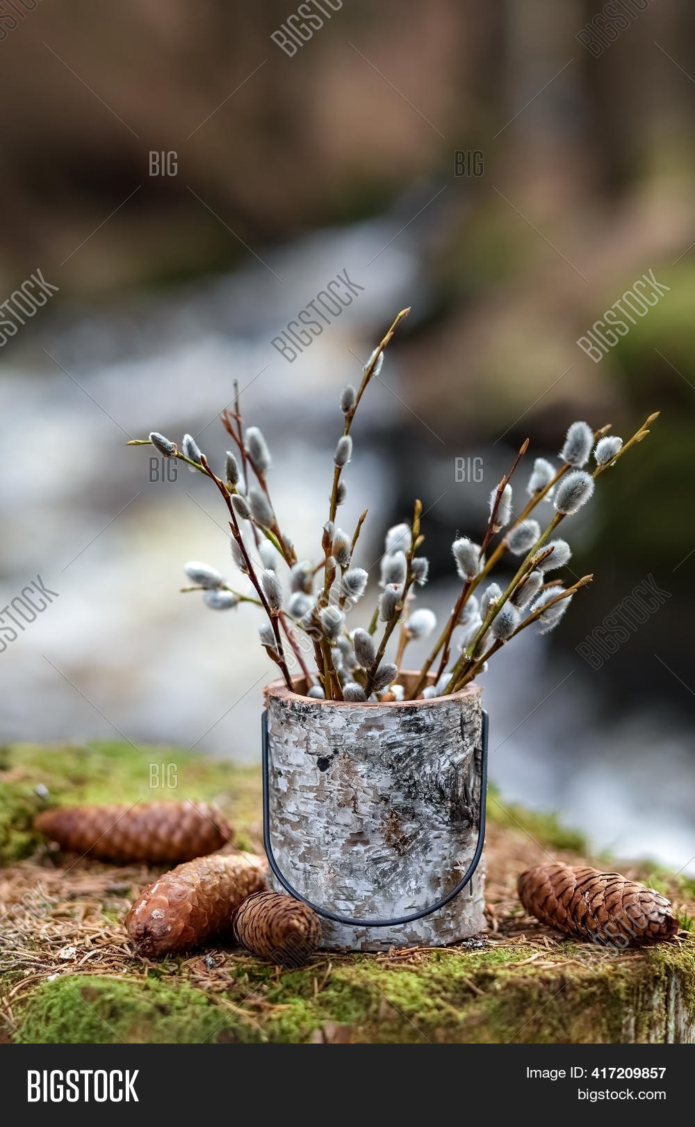 Bouquet Pussy Willow Image & Photo (Free Trial) | Bigstock