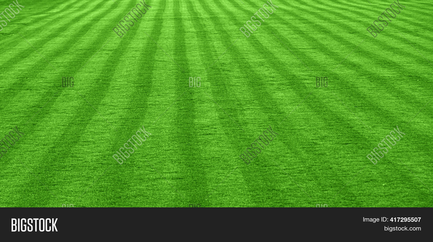 Grass Lawn. Laid Grass Image & Photo (Free Trial) | Bigstock