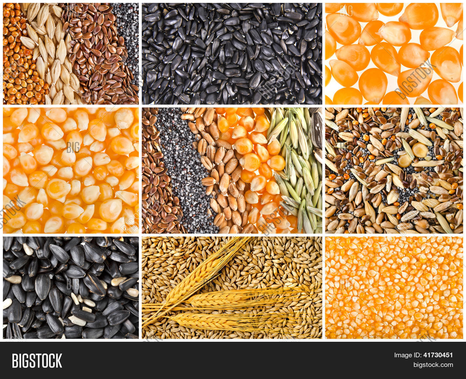 Collage Texture Cereal Image & Photo (Free Trial) | Bigstock