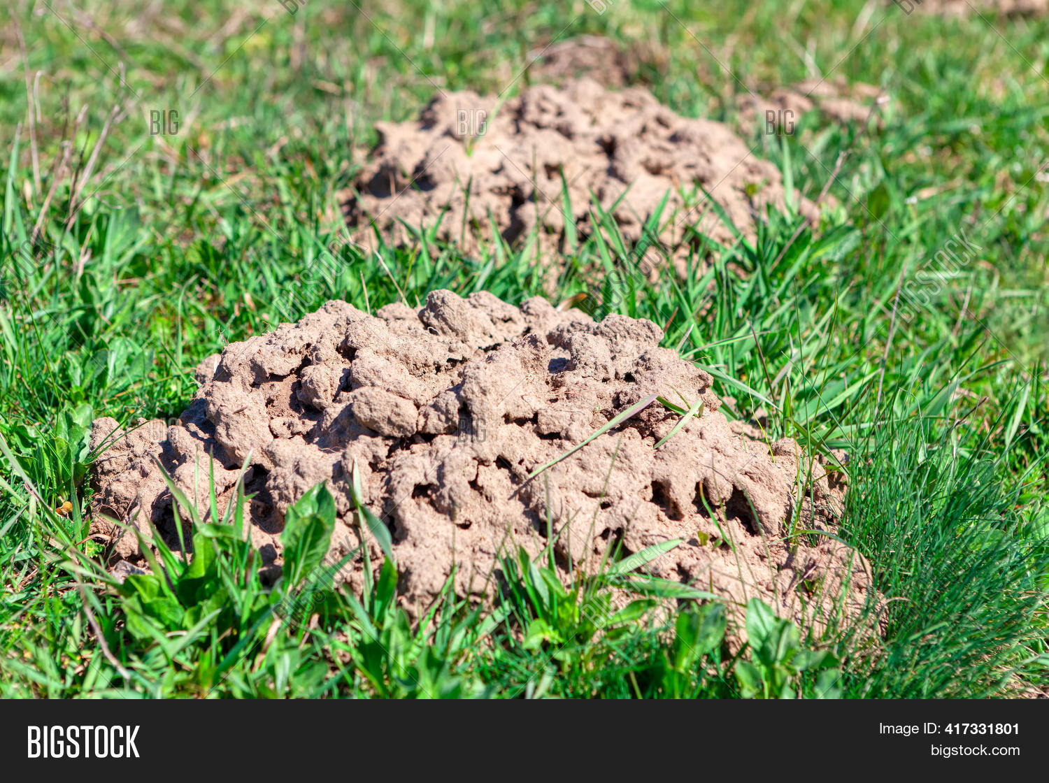 Ground Mounds Made By Image & Photo (Free Trial) | Bigstock
