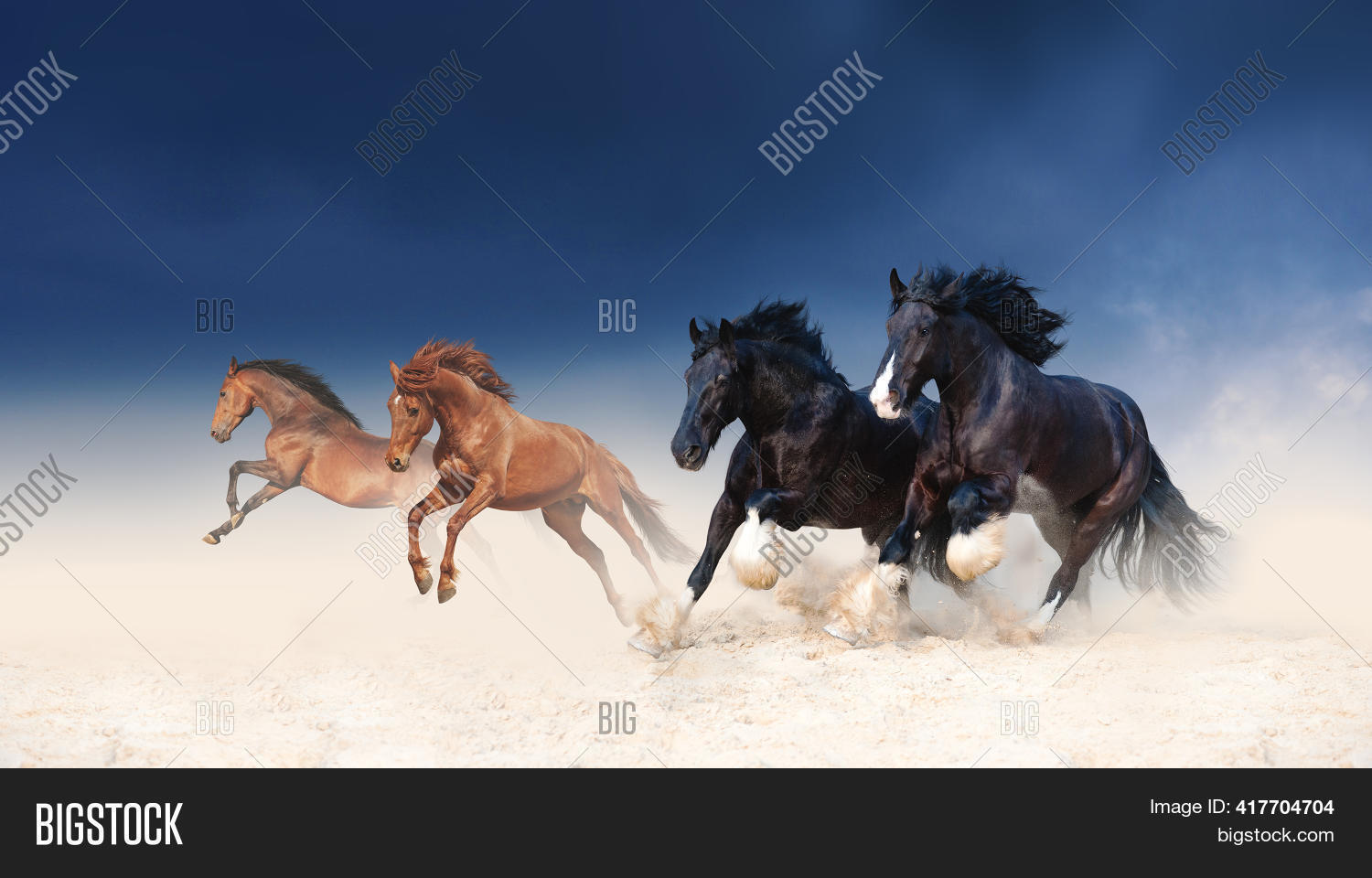 Herd Black Red Horses Image & Photo (Free Trial) | Bigstock