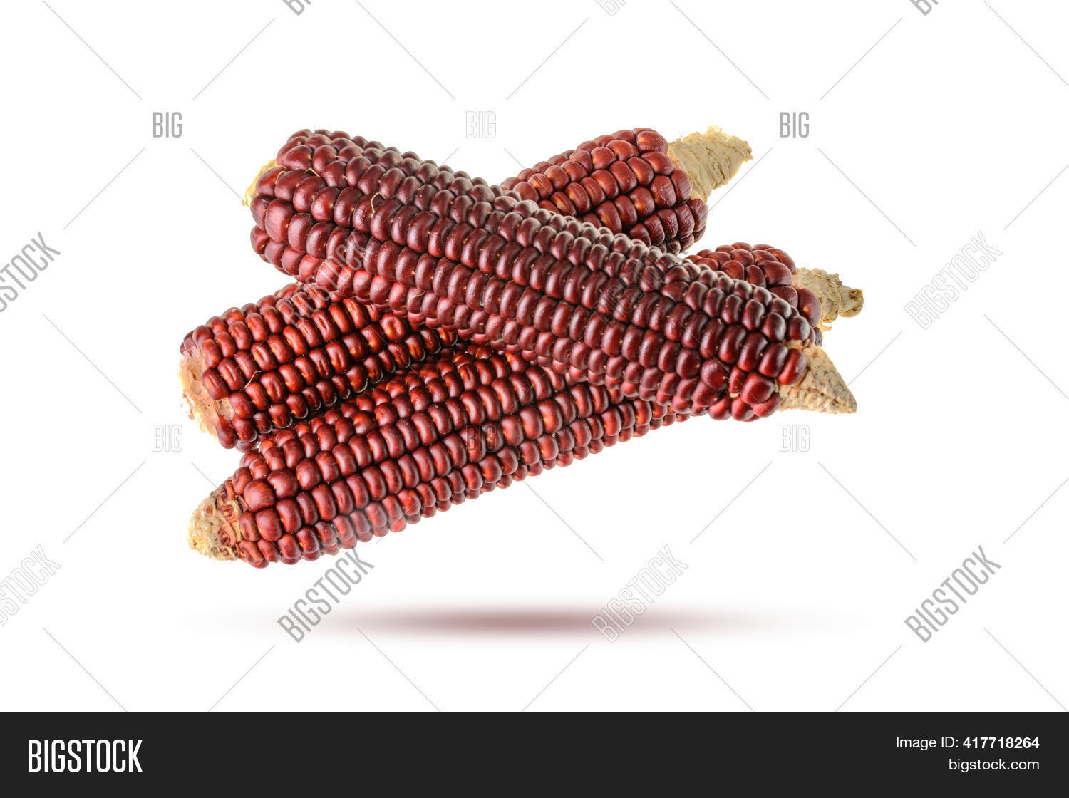 Red Corn Isolated On Image & Photo (Free Trial) | Bigstock