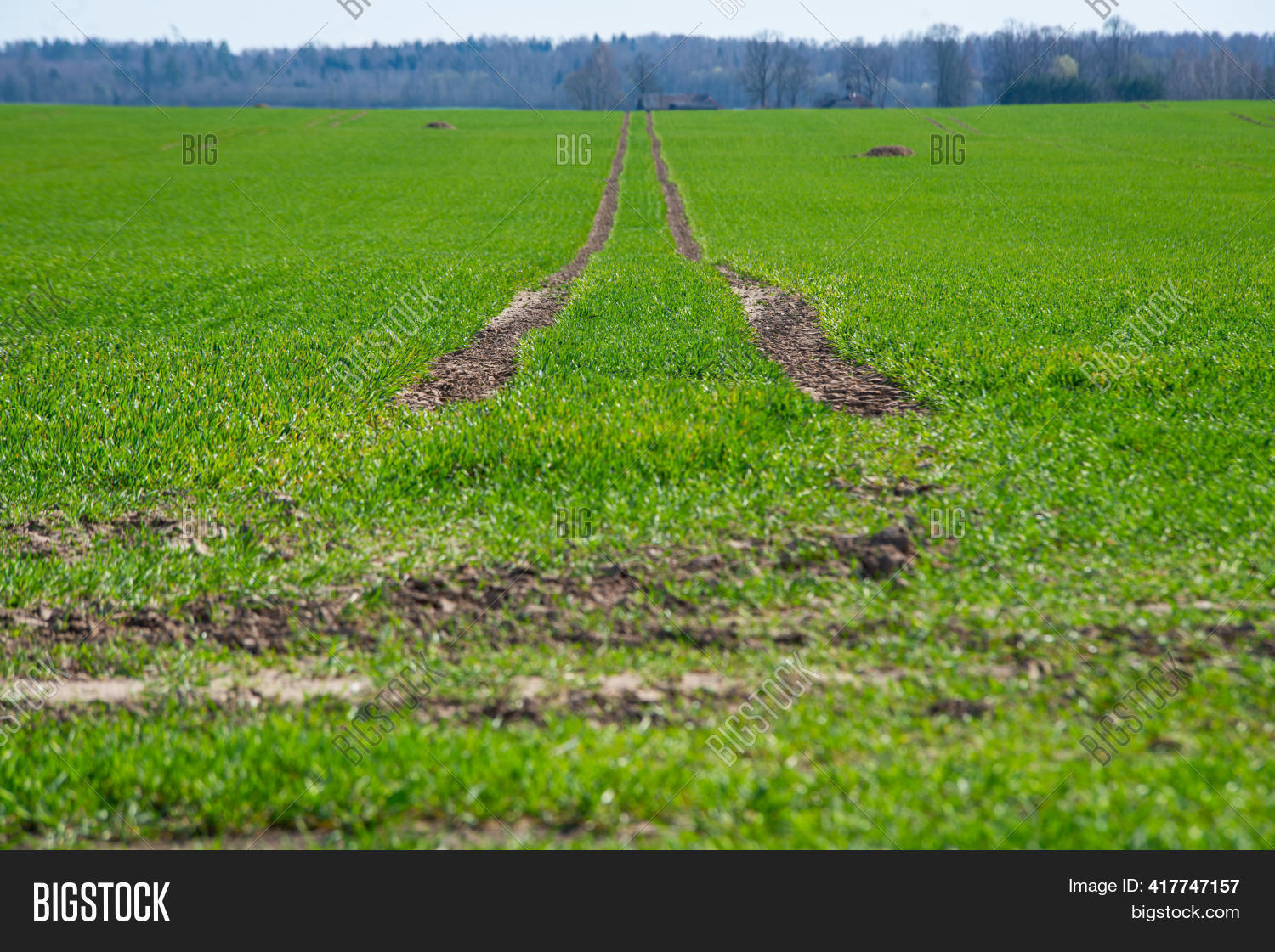 Tractor Tracks Lead Image & Photo (Free Trial) | Bigstock