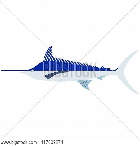 Atlantic Blue Marlin Vector & Photo (Free Trial) | Bigstock