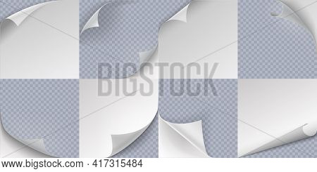 Curled Page. Vector & Photo (Free Trial) | Bigstock