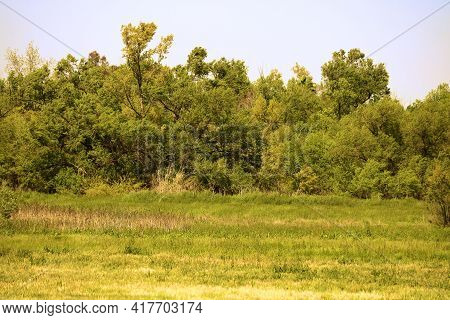 Lush Grasslands Image & Photo (Free Trial) | Bigstock