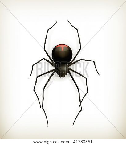 Spider, Bitmap Copy Image & Photo (Free Trial) | Bigstock