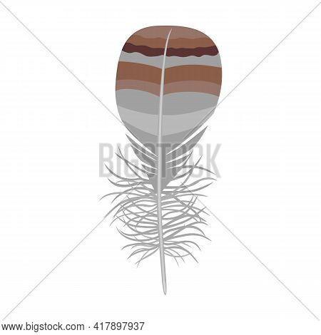 Feather Bird Cartoon Vector & Photo (Free Trial) | Bigstock