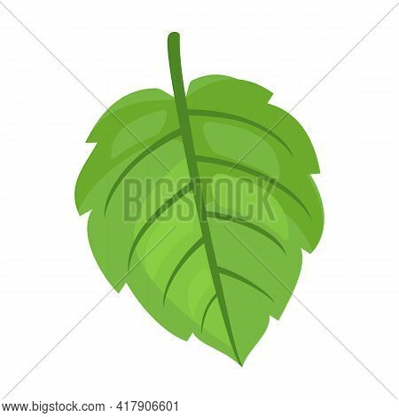 Mint Leaf Cartoon Vector & Photo (Free Trial) | Bigstock