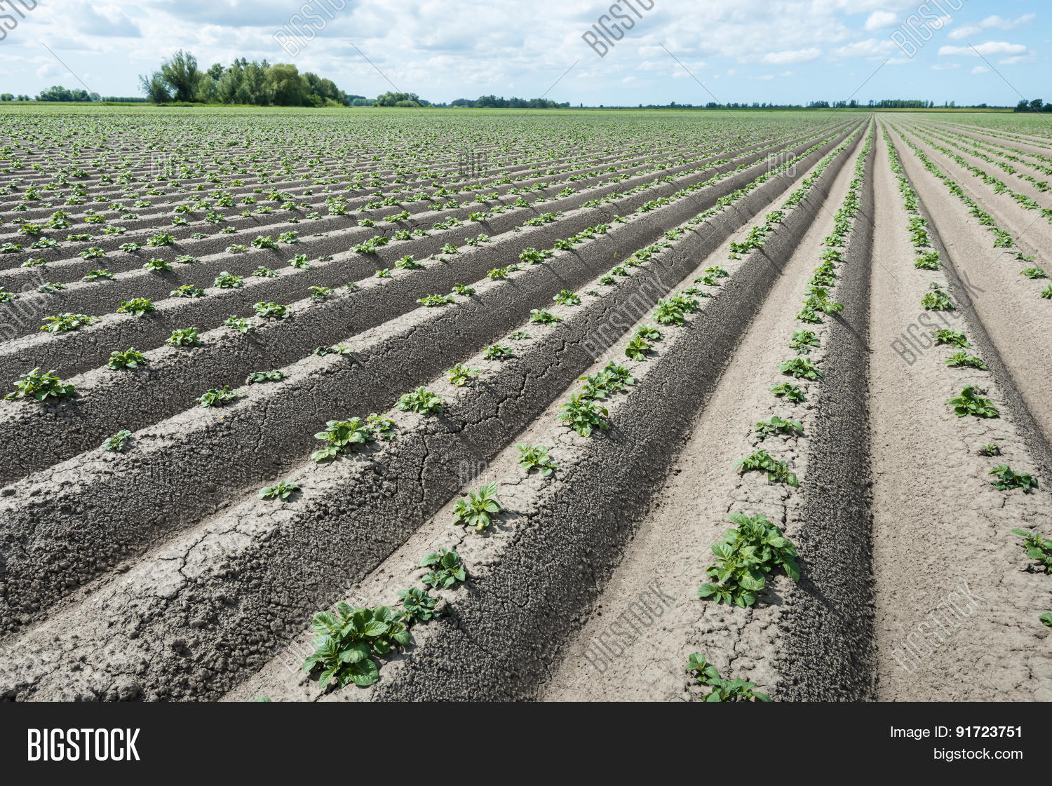 Converging Ridges Image & Photo (Free Trial) | Bigstock