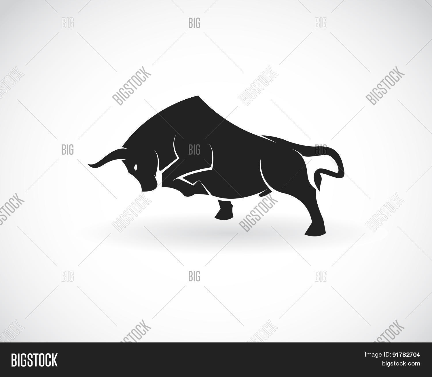 Vector Image Bull On Vector & Photo (Free Trial) | Bigstock