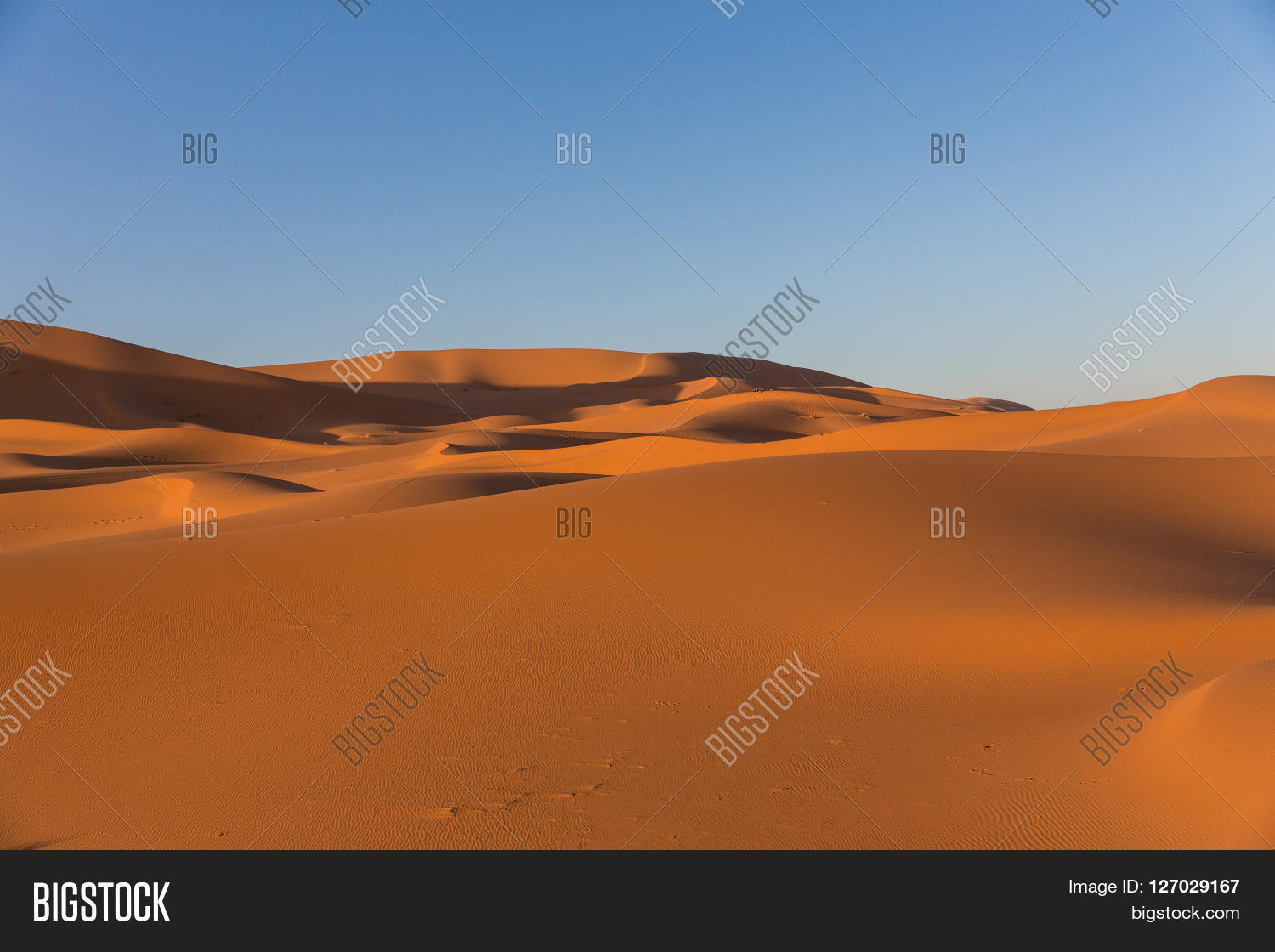 Sand Dunes Sahara Image & Photo (Free Trial) | Bigstock