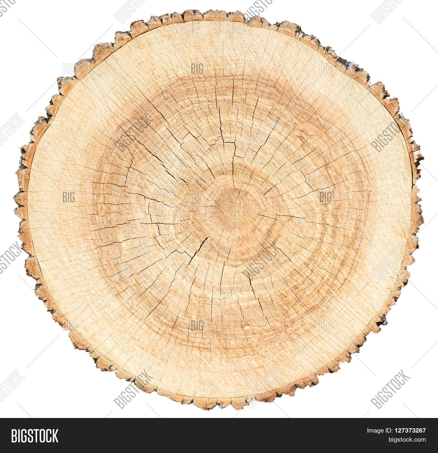 Environment Circle Image & Photo (Free Trial) | Bigstock