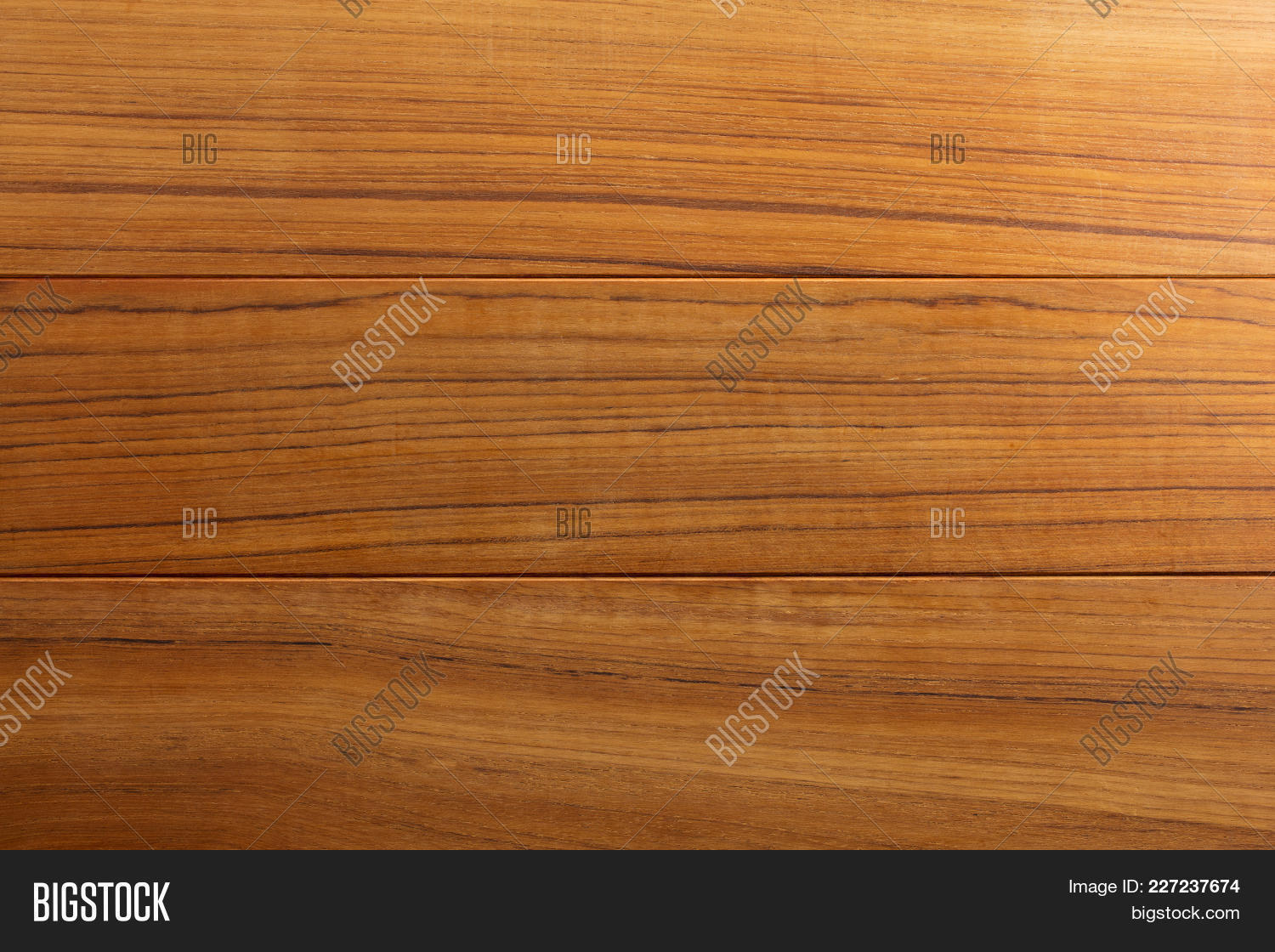 Teak Wood (Tectona Image & Photo (Free Trial) | Bigstock