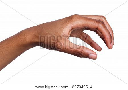 Black Female Hand Grab Image & Photo (Free Trial) | Bigstock