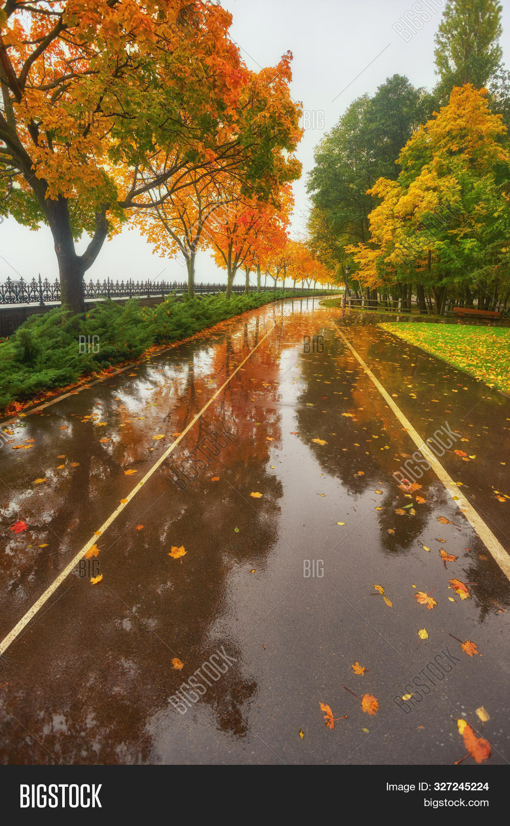 Autumn Park, Rainy Image & Photo (Free Trial) | Bigstock