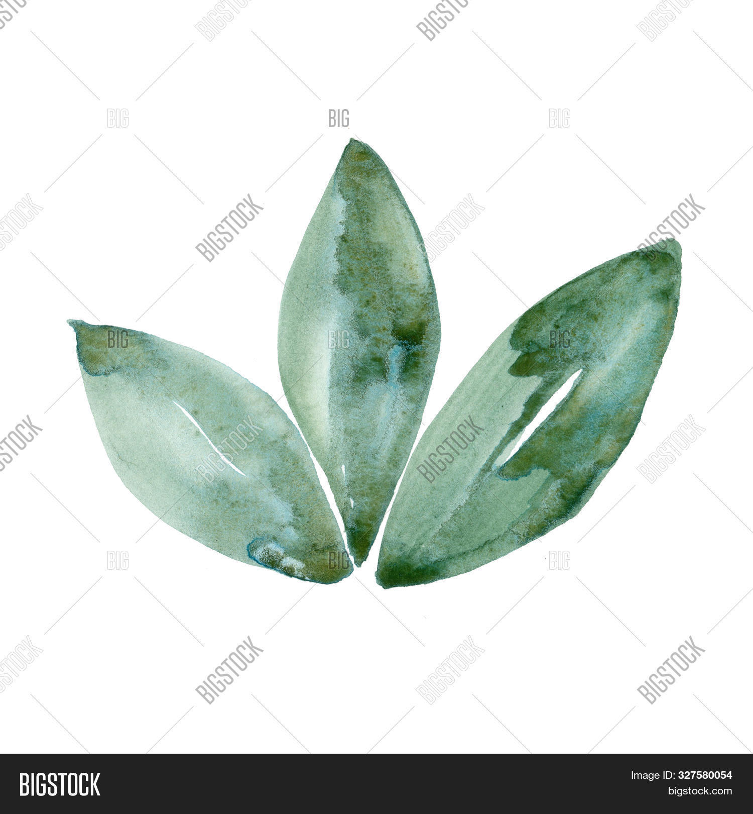 Watercolor Green Leaf Image & Photo (Free Trial) | Bigstock