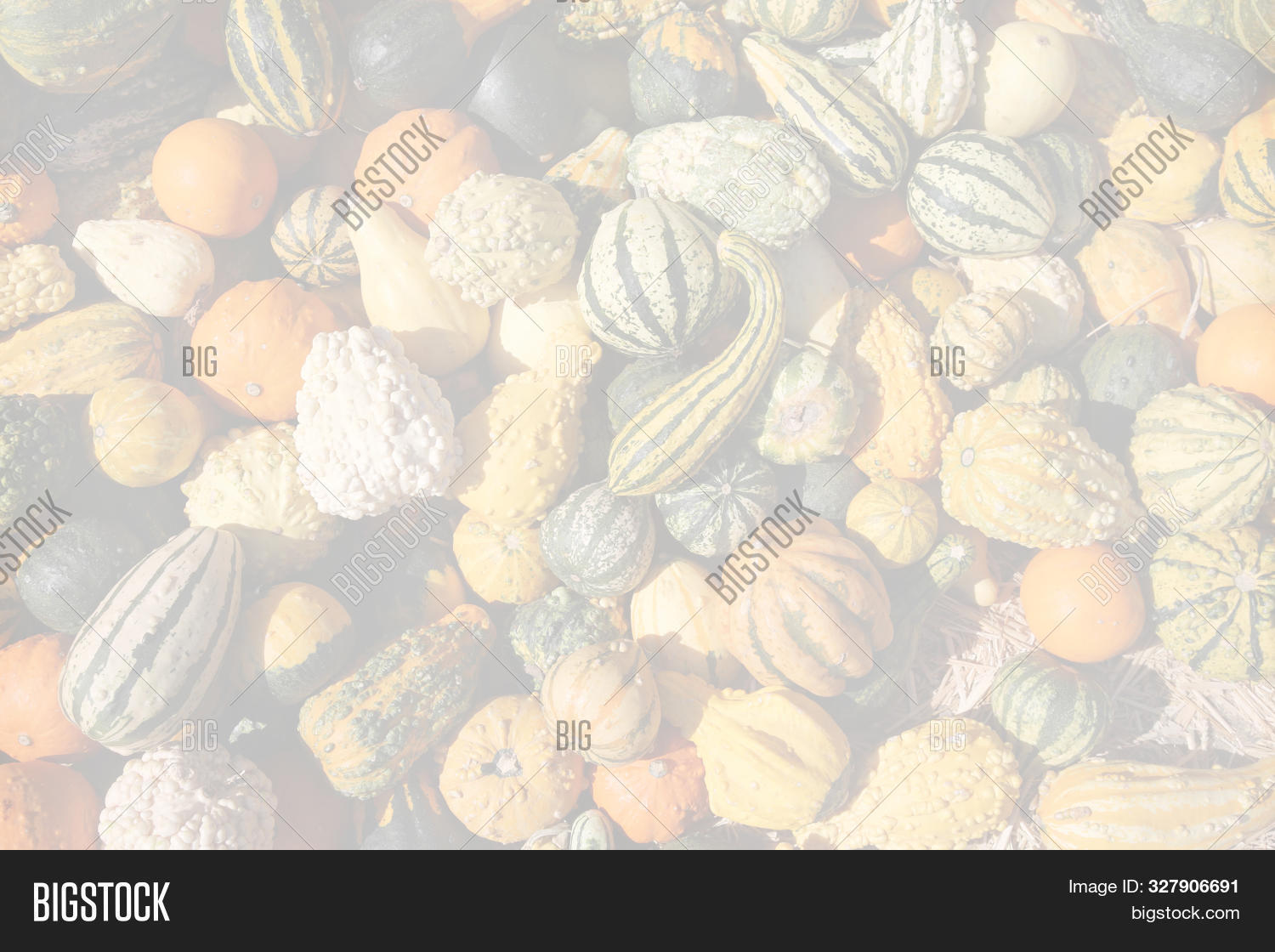 Gourds. Background Image & Photo (Free Trial) | Bigstock