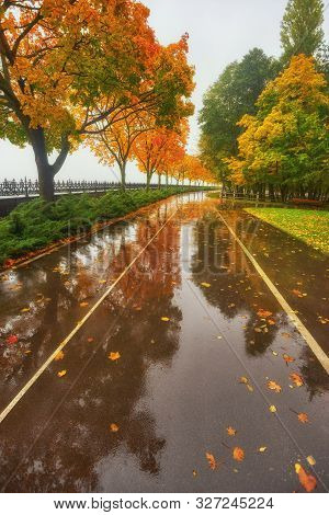 Autumn Park, Rainy Image & Photo (Free Trial) | Bigstock