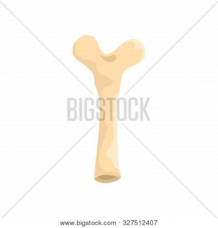 Stone Age Bone Icon. Vector & Photo (Free Trial) | Bigstock