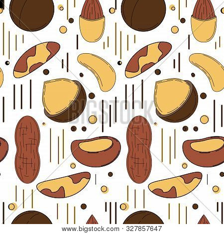 Nuts Seamless Pattern Vector & Photo (Free Trial) | Bigstock