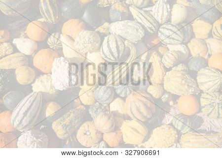 Gourds. Background Image & Photo (Free Trial) | Bigstock
