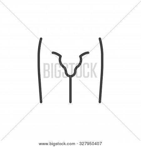 Male Genital Line Vector & Photo (Free Trial) | Bigstock