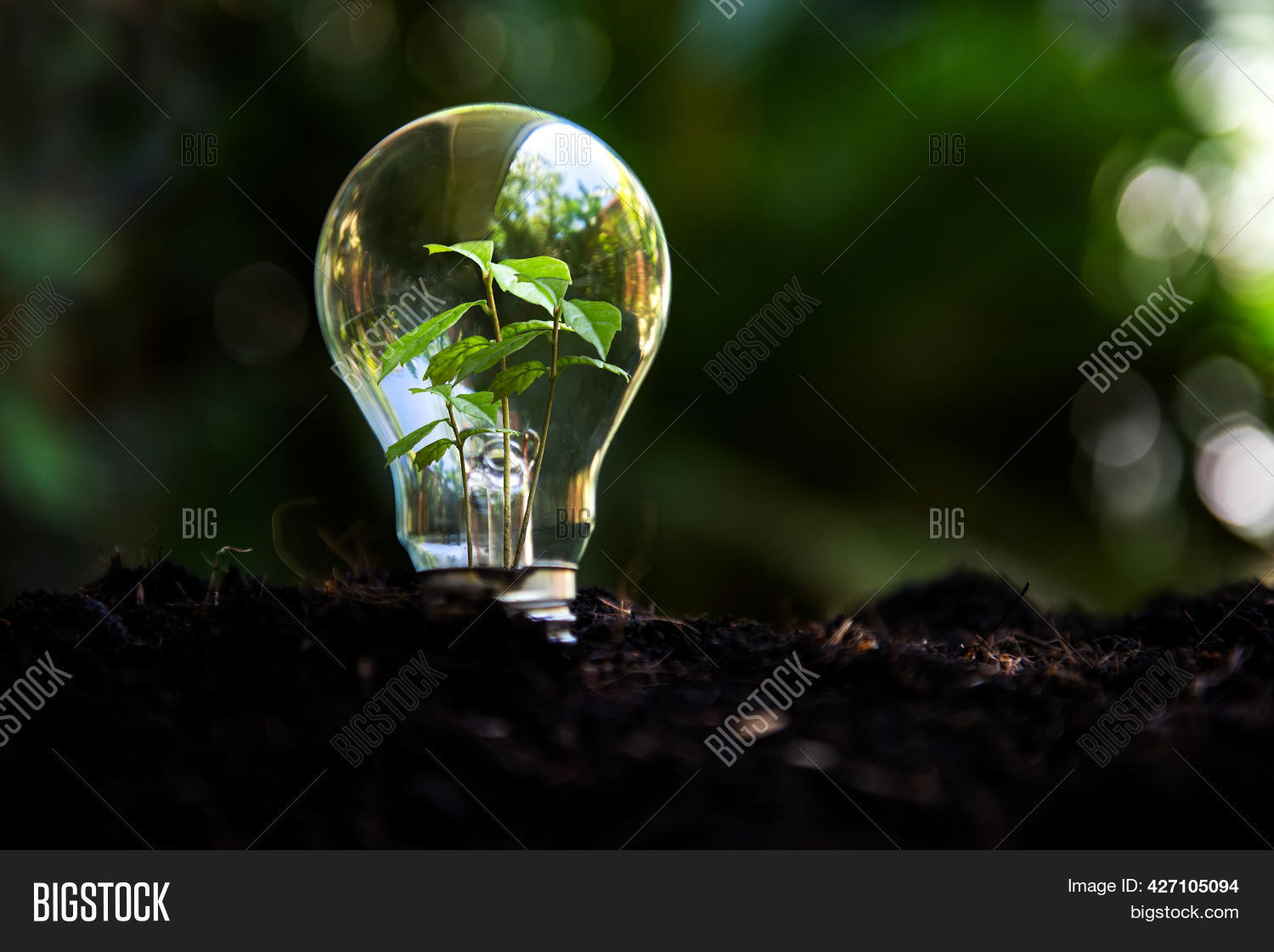 Saving Energy Image & Photo (Free Trial) | Bigstock