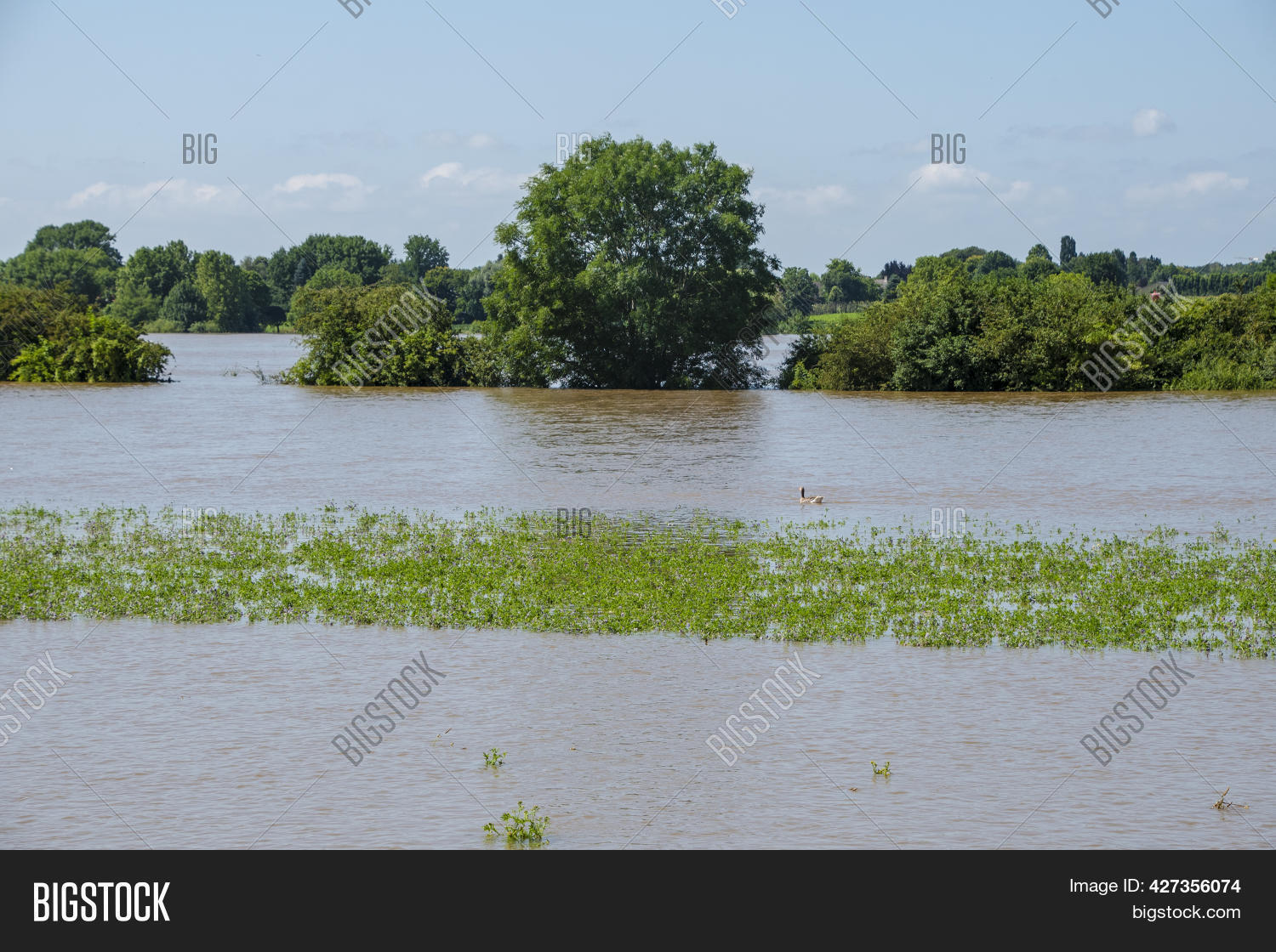 Flooded Dutch Polder Image & Photo (Free Trial) | Bigstock