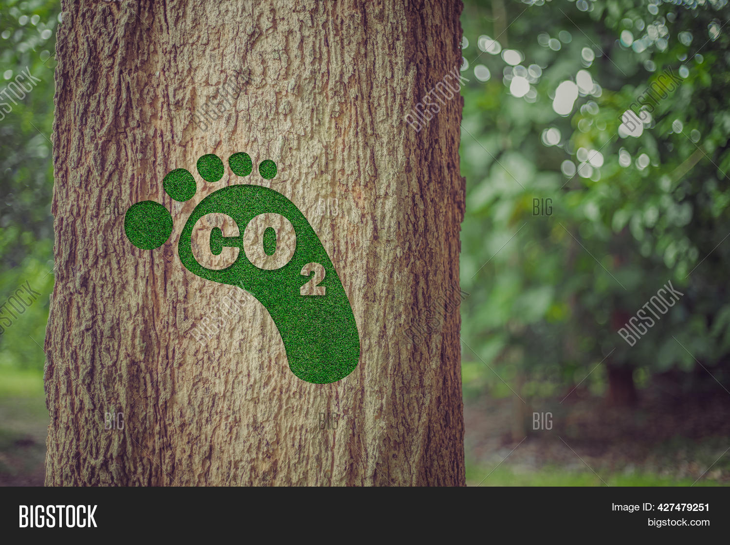 Footprint Symbolizing Image & Photo (Free Trial) | Bigstock