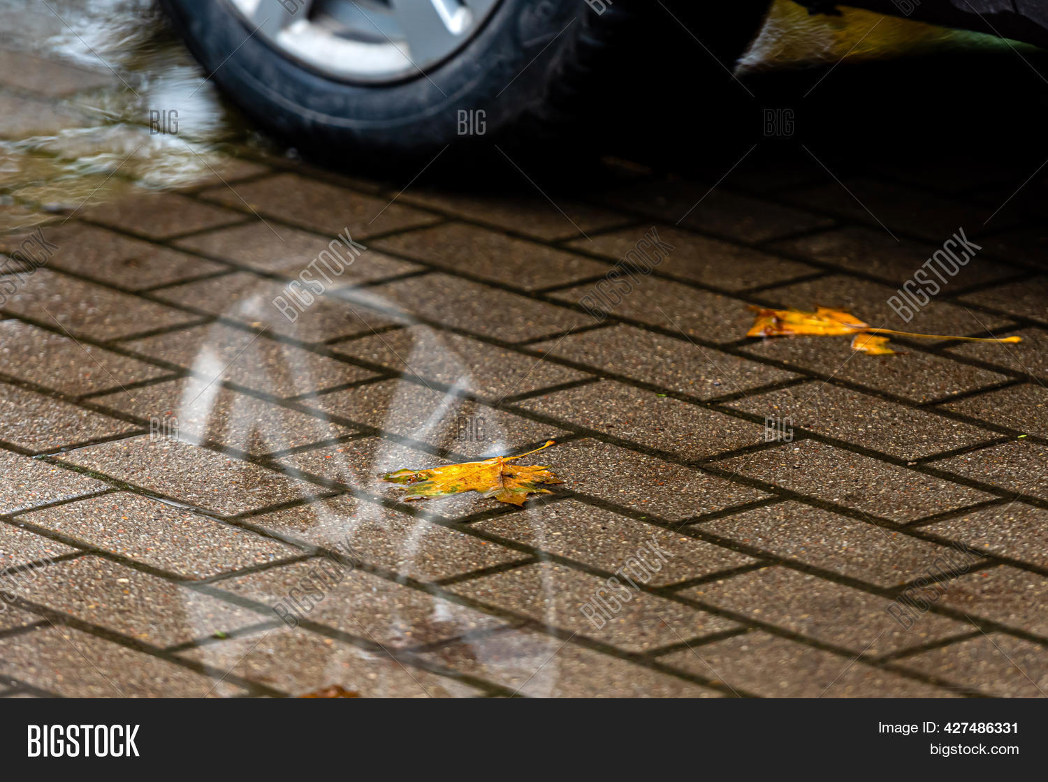 Puddle On Pavement Image & Photo (Free Trial) | Bigstock