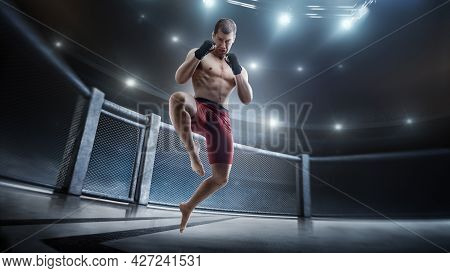 Jumping Knee Kick Image & Photo (Free Trial) | Bigstock