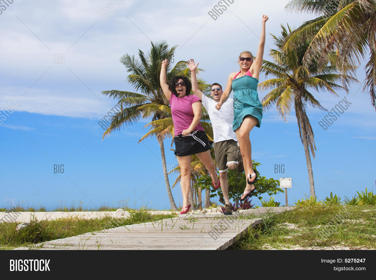 Having Fun Beach Image & Photo (Free Trial) | Bigstock