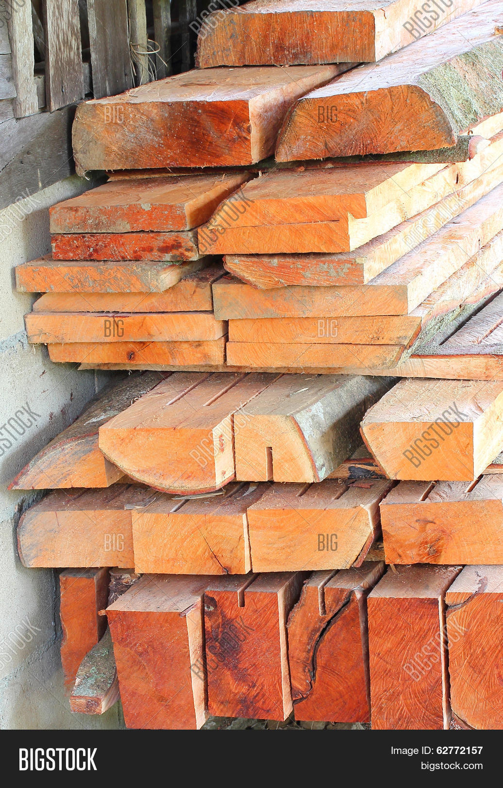 Cross Section Detail Image & Photo (Free Trial) | Bigstock