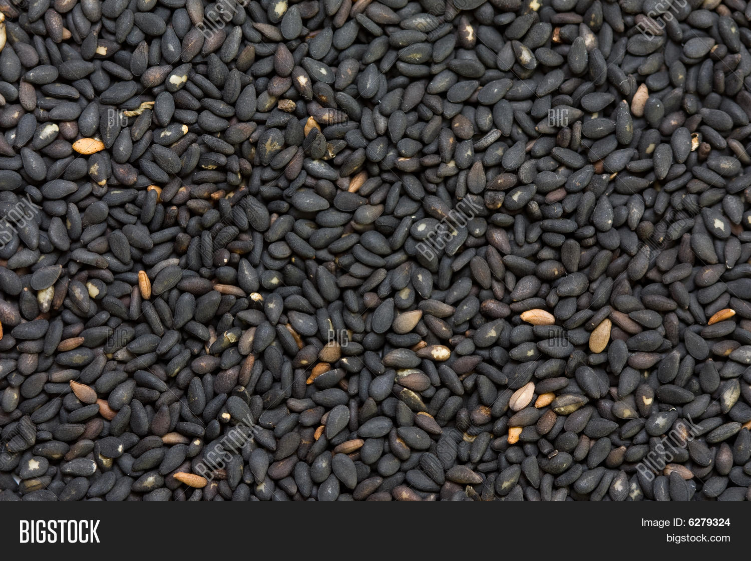 Black Sesame Image & Photo (Free Trial) | Bigstock
